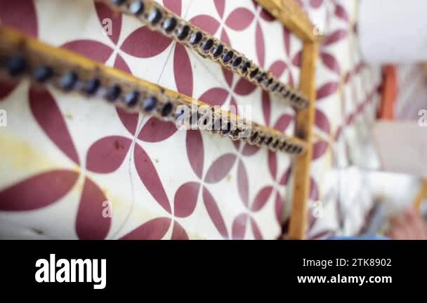 Extraction of royal jelly from bee queen cells in vertical view. Royal ...