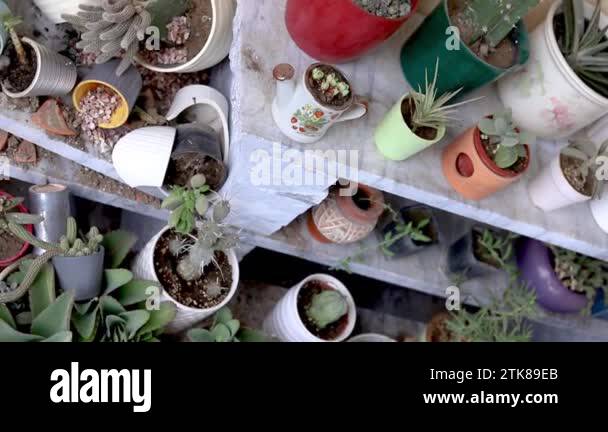 Broken garden pots Stock Videos & Footage - HD and 4K Video Clips - Alamy