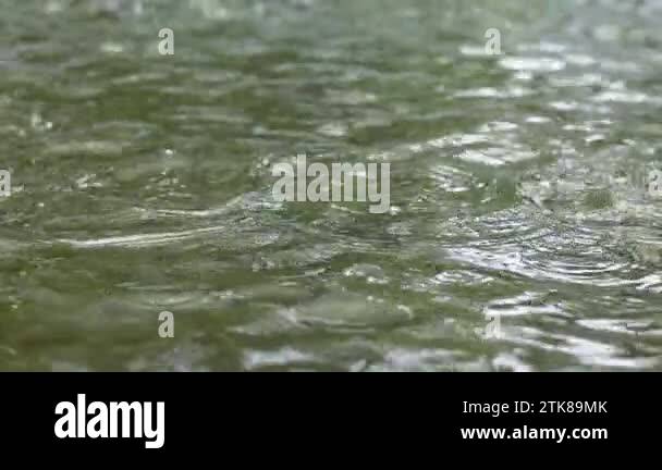Rain water puddle Stock Videos & Footage - HD and 4K Video Clips - Alamy