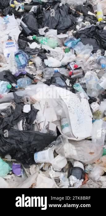 Ecological catastrophe for nature, the concept of environmental ...