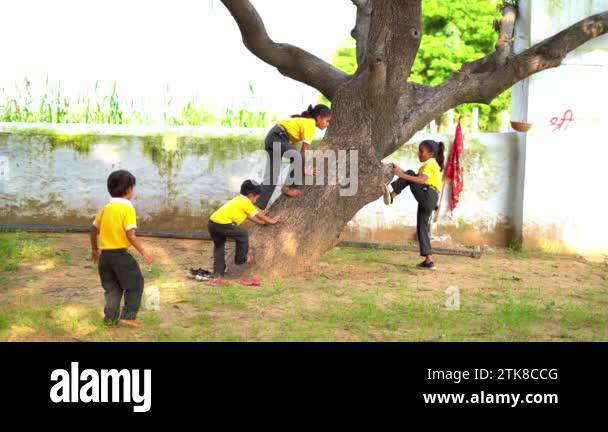 Group indian children playing on Stock Videos & Footage - HD and 4K ...