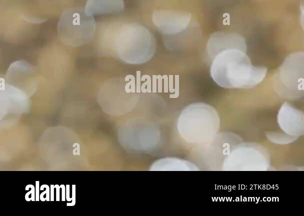 Bokeh background water particles Stock Videos & Footage - HD and 4K ...