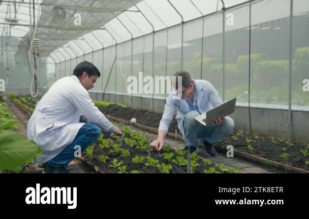 Two Biotechnology man engineer holding magnifying glass and looking at ...