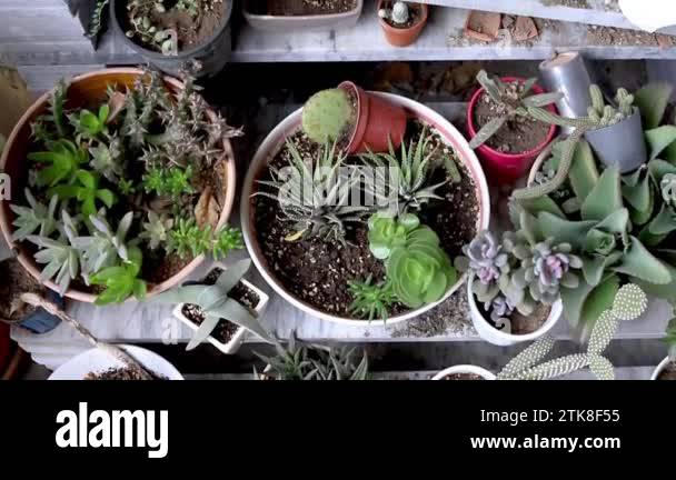 Smashed pots Stock Videos & Footage - HD and 4K Video Clips - Alamy