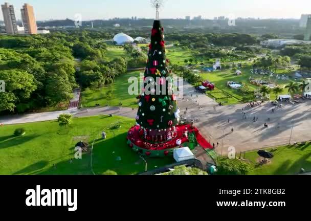 Christmas Tree at Sao Paulo Brazil. Christmas Tree at famous Candido ...