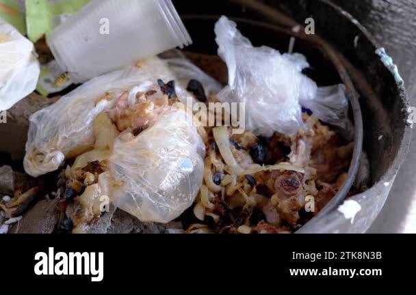 Food in garbage can Stock Videos & Footage - HD and 4K Video Clips - Alamy