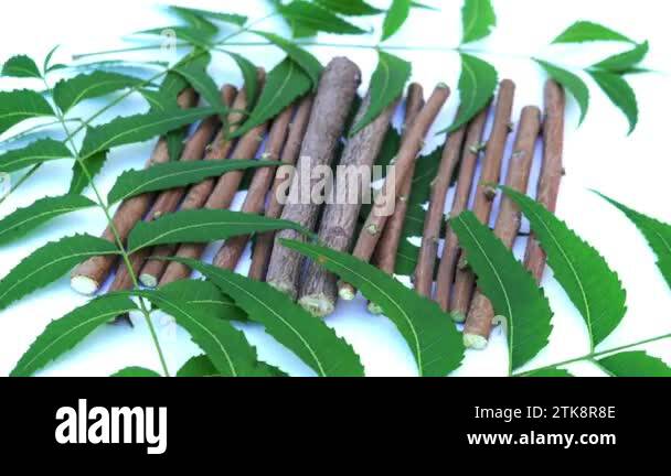 Neem is an excellent moisturizing and contains various compounds that ...