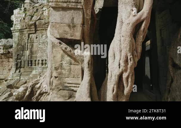 The Khmer temple of Ta Som - Tree growing atop the historical main ...