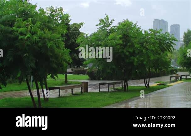 Raining and windy Stock Videos & Footage - HD and 4K Video Clips - Alamy