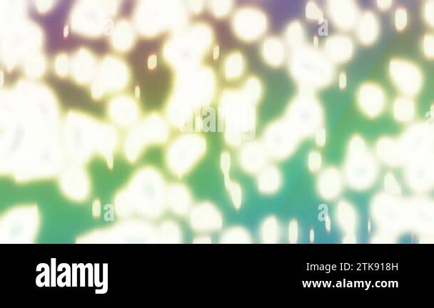 Matt background Stock Videos & Footage - HD and 4K Video Clips - Alamy
