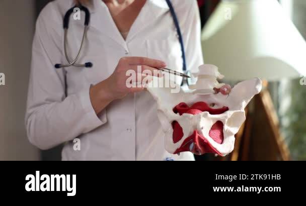 Doctor showing bones and muscles of pelvis of woman closeup 4k movie ...