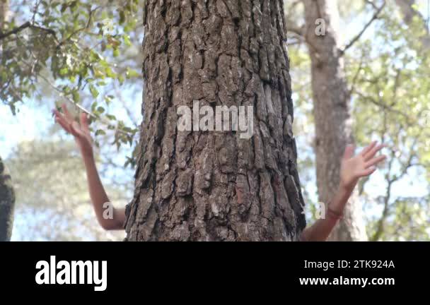 Happy children hugging a tree with his hands. Forest environment ...