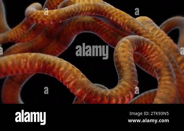 Background with alien microscopic worms, abstract 3d animation Stock ...