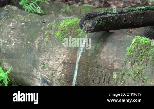 Water trough in the mountains Stock Videos & Footage - HD and 4K Video ...