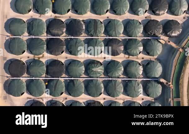 Hatchery facility Stock Videos & Footage - HD and 4K Video Clips - Alamy