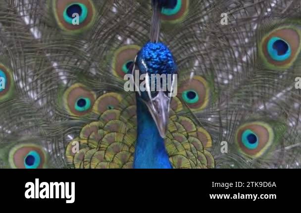 Dmc symbol Stock Videos & Footage - HD and 4K Video Clips - Alamy