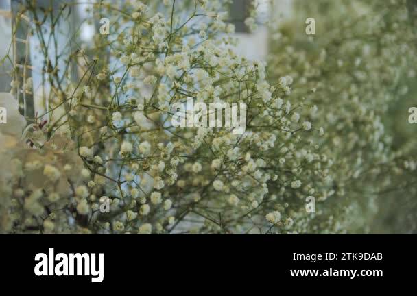 Floristic decoration Stock Videos & Footage - HD and 4K Video Clips - Alamy
