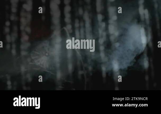 Animation of fire flames over trees in forest. Nature, forest and ...