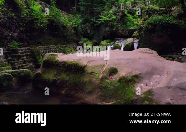 Large trees with a waterfall in a forest Stock Videos & Footage - HD ...