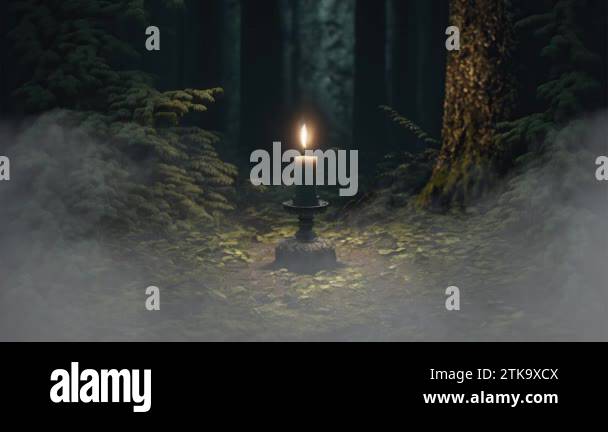 Burning candle in the middle of the forest with fog Stock Video Footage ...
