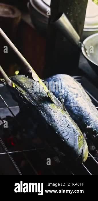 Tong fish Stock Videos & Footage - HD and 4K Video Clips - Alamy