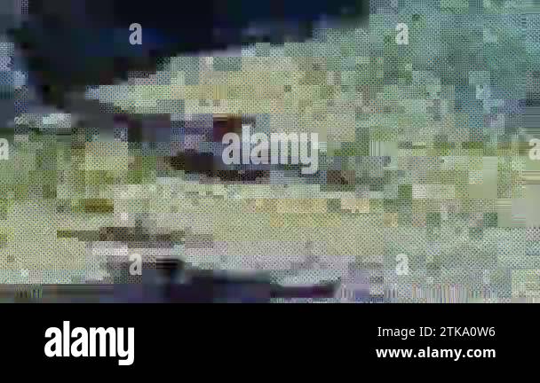 Macro view of a television LCD screen at the time of broadcasting a TV ...