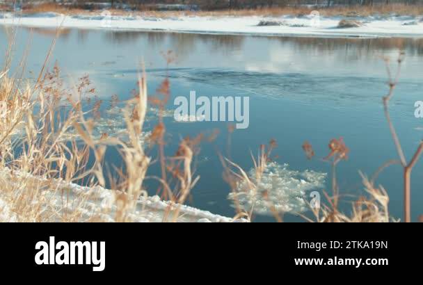frozen river is flowing with melting ice in early sunny spring. The ...