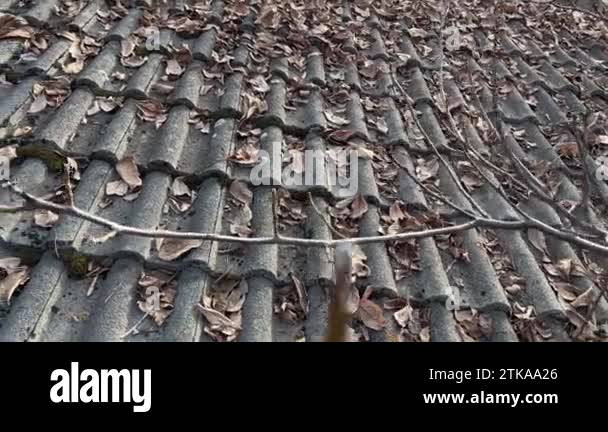 Asbestos structure Stock Videos & Footage - HD and 4K Video Clips - Alamy