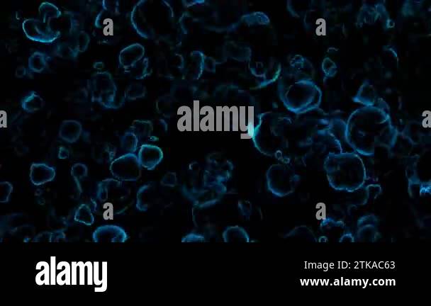 Under aqua surface Stock Videos & Footage - HD and 4K Video Clips - Alamy