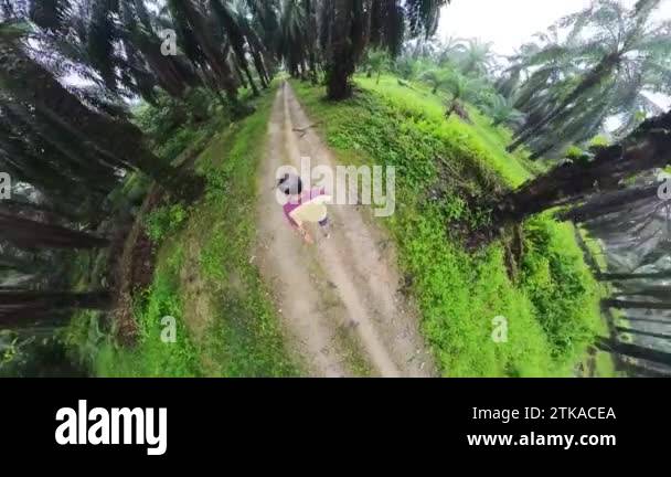 Pathway road Stock Videos & Footage - HD and 4K Video Clips - Alamy