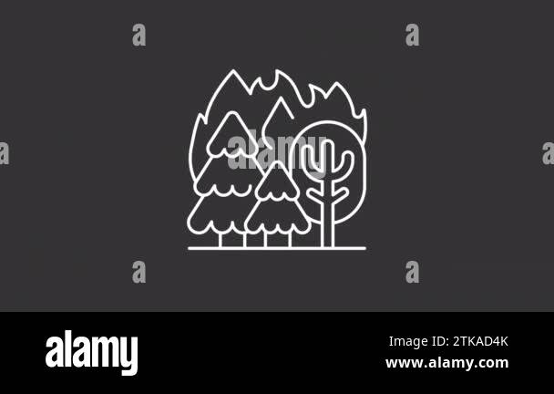 Animated wildfire white line icon. Natural disaster. Forest fire ...