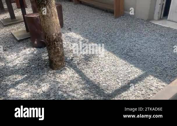 Rough wallpaper texture Stock Videos & Footage - HD and 4K Video Clips ...