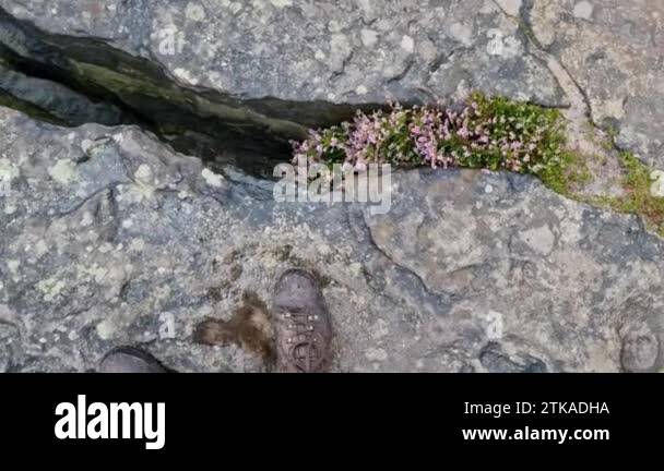 the rock towers eroded by water and wind gradually collapse into the ...