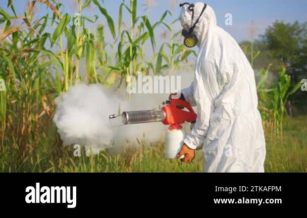 Destruction insects Stock Videos & Footage - HD and 4K Video Clips - Alamy