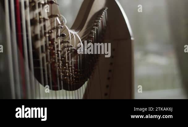 Real time handheld shot of strings with tuning and bridge pins on ...