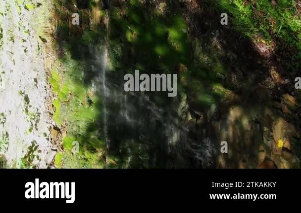 View of falling water from a cliff in the forest. Bottom-up view of a ...