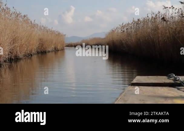 Evros delta national park Stock Videos & Footage - HD and 4K Video ...