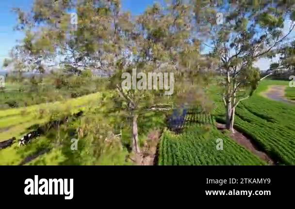 Spinning At Rural Landscape In Countryside Landscape. Country Green ...