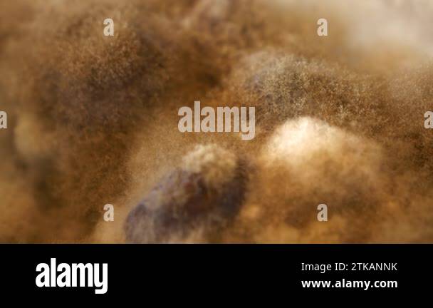 White fluffy mold Stock Videos & Footage - HD and 4K Video Clips - Alamy