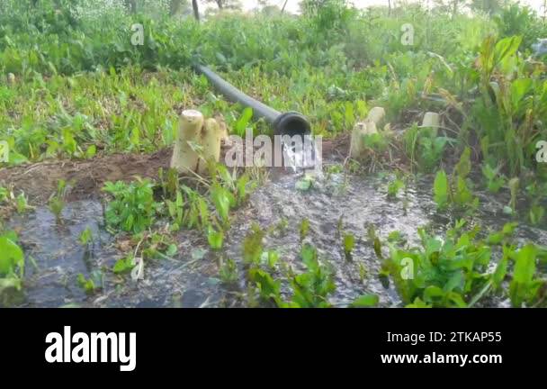 Electric water well Stock Videos & Footage - HD and 4K Video Clips - Alamy