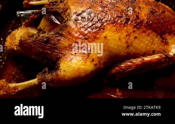 Fatty duck Stock Videos & Footage - HD and 4K Video Clips - Alamy