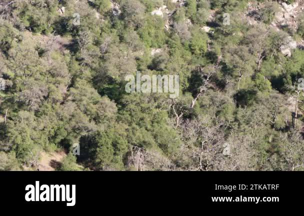 Peninsular ranges Stock Videos & Footage - HD and 4K Video Clips - Alamy