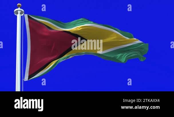 Guyana national flag waving in the wind isolated on a blue background. Northern mainland of ...