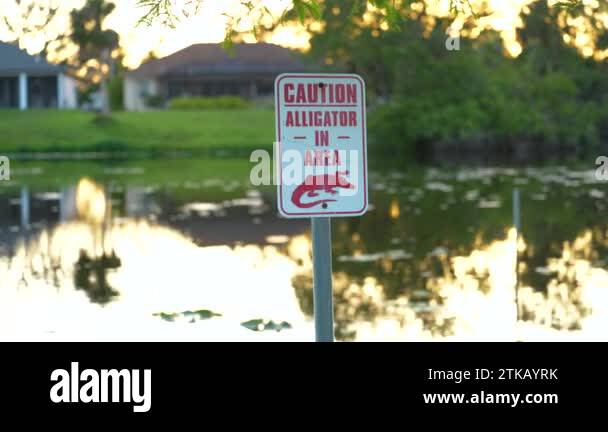 Florida state park alligator warning Stock Videos & Footage - HD and 4K ...