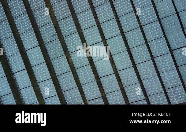 Top down footage of straight lines from solar panels. Caring for the ...