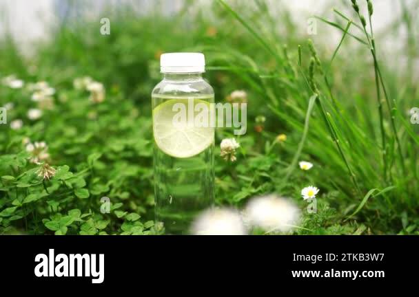 Lemon grass jar water Stock Videos & Footage - HD and 4K Video Clips ...