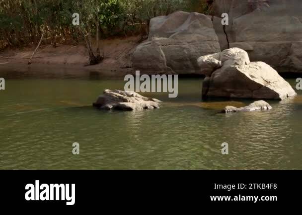 Crocodile gorge Stock Videos & Footage - HD and 4K Video Clips - Alamy