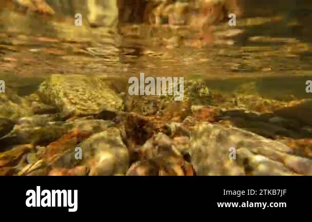 Rocky bed Stock Videos & Footage - HD and 4K Video Clips - Alamy