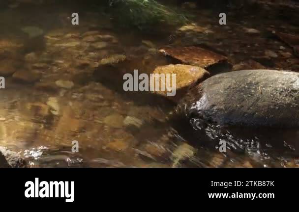 Water running downstream near waterfall Stock Videos & Footage - HD and ...