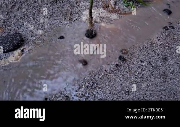 Over flow rain Stock Videos & Footage - HD and 4K Video Clips - Alamy